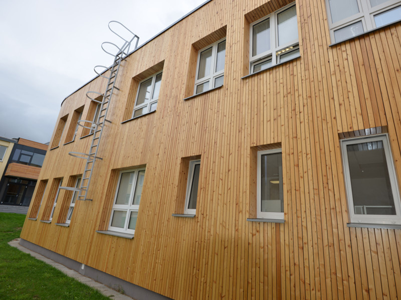 Canadian larch planks 19x90 mm