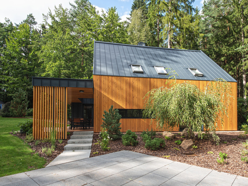 Canadian larch planks 19x140 mm